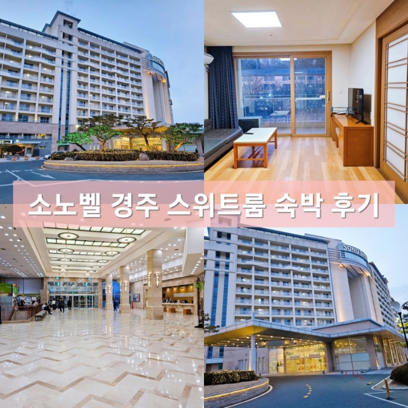 소노벨 경주 스위트룸 가족 숙소 추천 후기 네이버 블로그