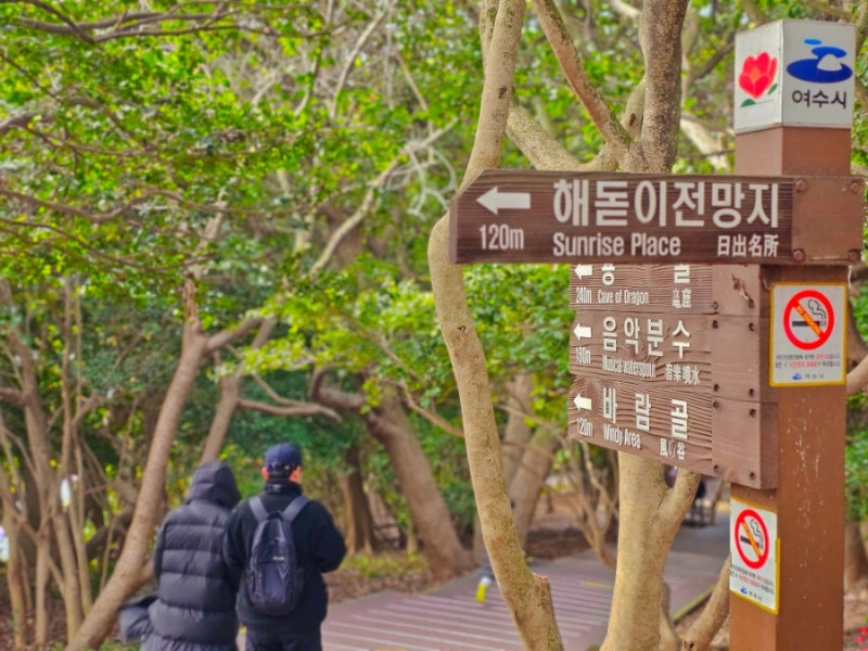 여수 오동도 동백꽃 개화시기 및 상태 뷰 포인트 용굴 바람골 전망대 네이버 블로그