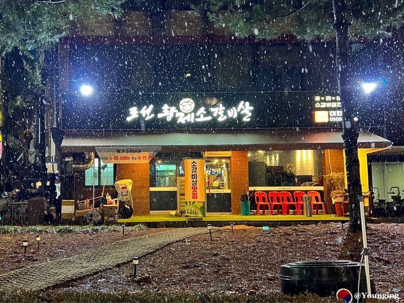일산 소고기 맛집 대화동고기집 조선황제소갈비살 네이버 블로그