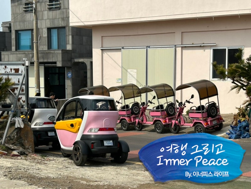 제주도 우도 전기차 스쿠터 대여 꼭 알아둬야 할 것 코코나라 내돈내산 네이버 블로그