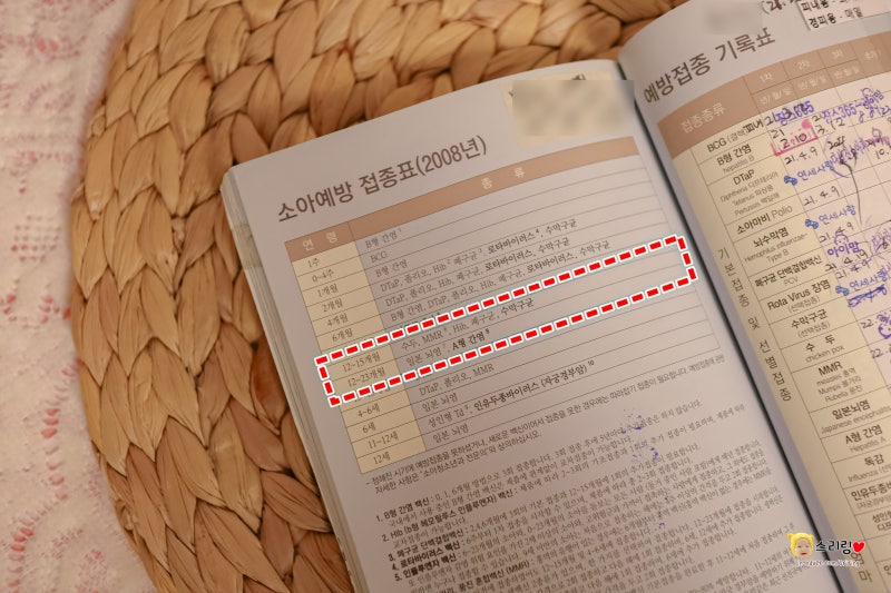돌예방접종 일본뇌염 생백신 사백신 아기 수두 예방접종 간격 네이버 블로그