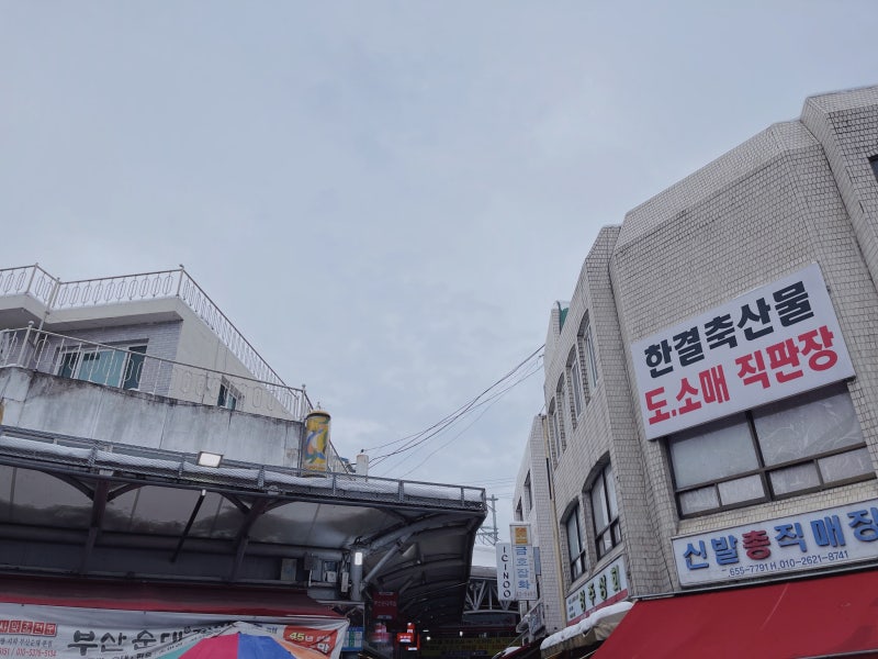 강릉중앙시장회포장 횟감 신선했던 한신회센터 네이버 블로그