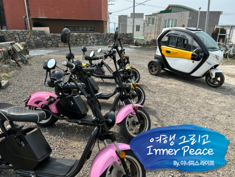 제주도 우도 전기차 스쿠터 대여 꼭 알아둬야 할 것 코코나라 내돈내산 네이버 블로그