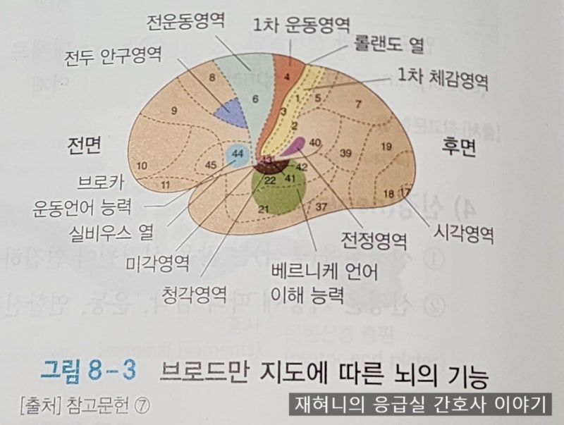 발작seizure의 종류 응급실 처치 간질epilepsy과 경련 차이 뇌전증 네이버 블로그