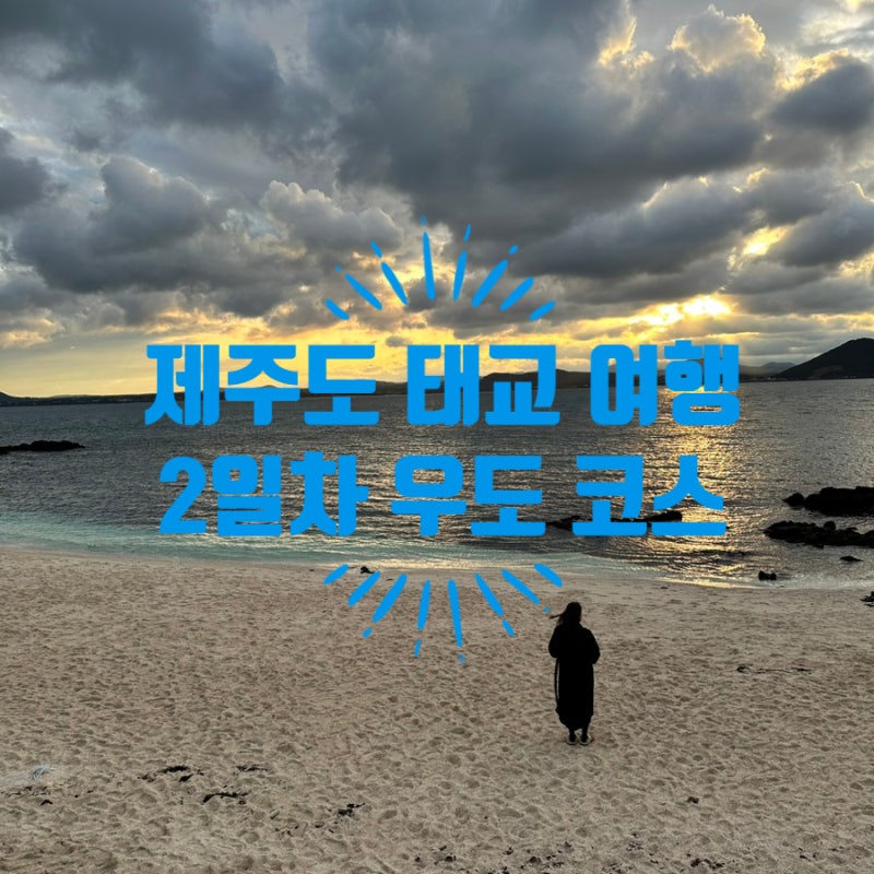 제주도 태교여행 우도 가는 법 렌터카 반입 및 배 시간표 그리고 승선 요금 네이버 블로그