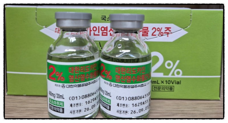 국소마취제 리도카인 염산염수화물 2주 성분 효과 용법 주의사항 부작용 네이버 블로그