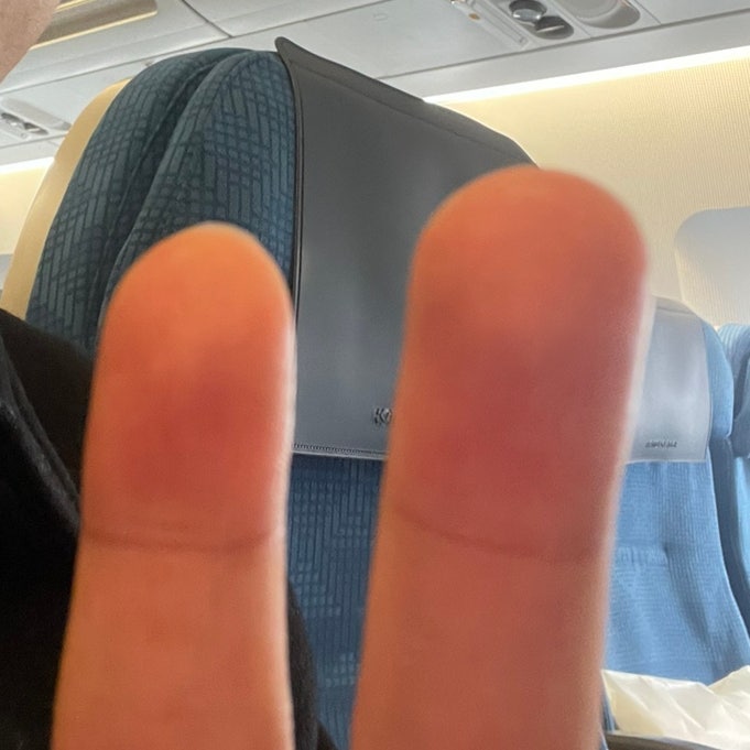 대한항공 온라인 앱 모바일 체크인 방법 총정리 오토 체크인 차이점 및 비상구 좌석 배정 네이버 블로그