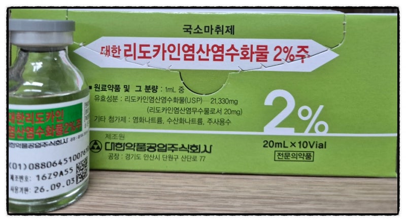 국소마취제 리도카인 염산염수화물 2주 성분 효과 용법 주의사항 부작용 네이버 블로그