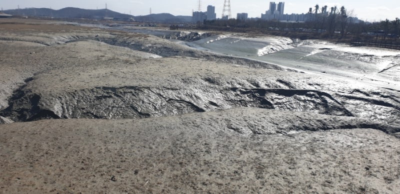 인천 가볼만한 곳 소래생태습지공원 위치 주차 산책코스 볼거리 포토존 네이버 블로그