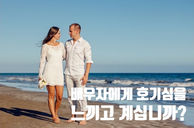 한 번 사는 인생 어떻게 살아야 하는가ㅣ니체가 답하다 네이버 블로그