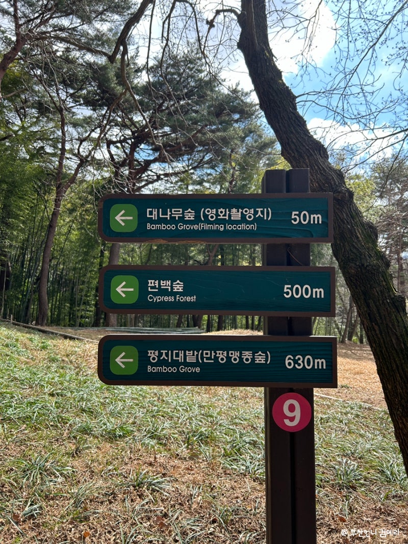 부산 기장 수목원 산책코스 대나무숲 아홉산숲 네이버 블로그