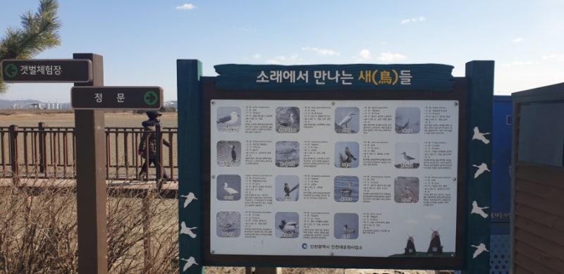 인천 가볼만한 곳 소래생태습지공원 위치 주차 산책코스 볼거리 포토존 네이버 블로그