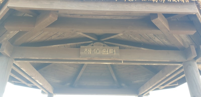 인천 가볼만한 곳 소래생태습지공원 위치 주차 산책코스 볼거리 포토존 네이버 블로그