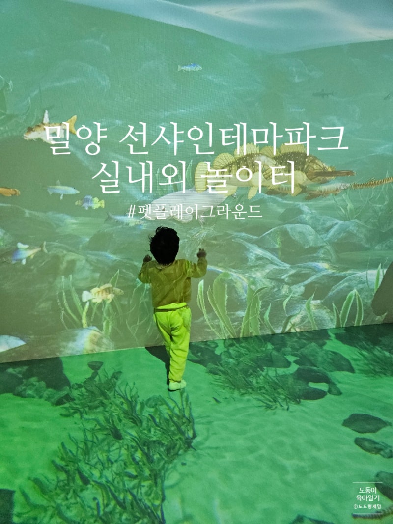 밀양 아이와 선샤인테마파크 실내 실외 놀이터가 있어요 네이버 블로그