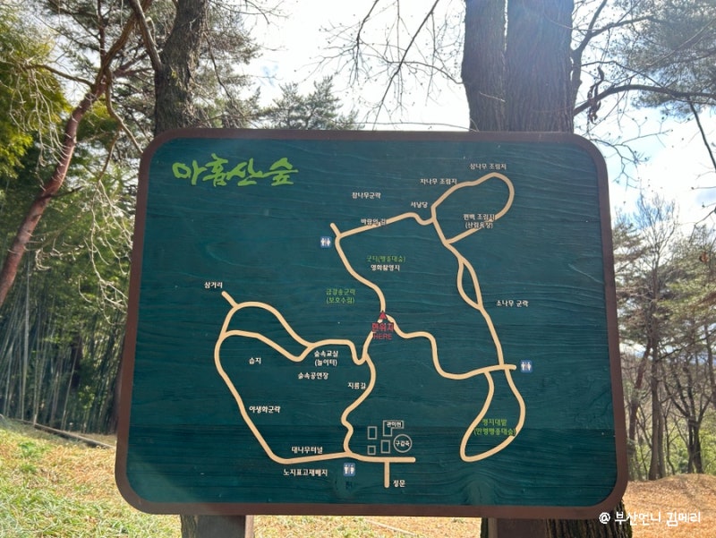 부산 기장 수목원 산책코스 대나무숲 아홉산숲 네이버 블로그