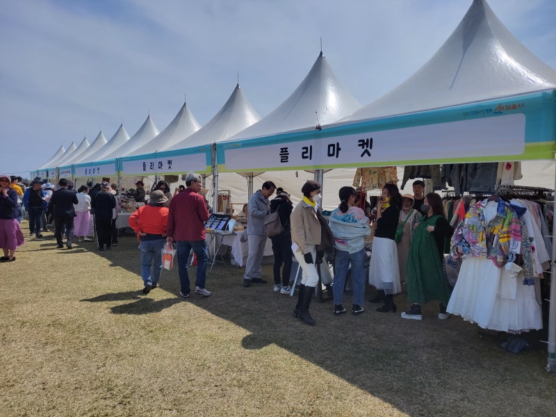 서귀포 유채꽃 축제 2024 일정 체험 공연 프로그램 가시리 녹산로 벚꽃 유채꽃 명소 주차 정보 제주도 행사