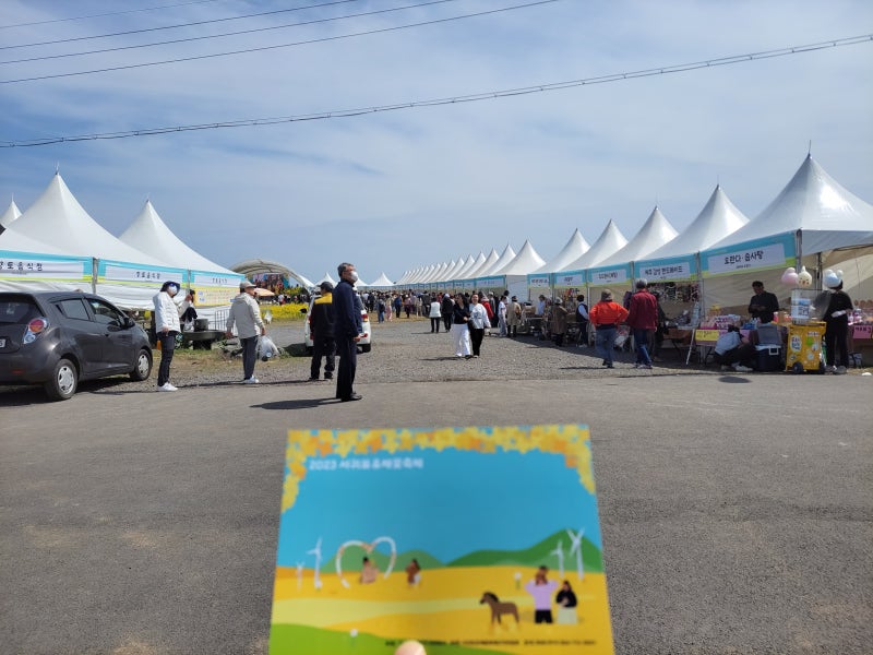 서귀포 유채꽃 축제 2024 일정 체험 공연 프로그램 가시리 녹산로 벚꽃 유채꽃 명소 주차 정보 제주도 행사
