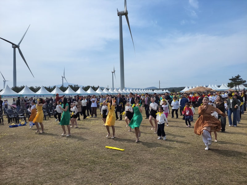 서귀포 유채꽃 축제 2024 일정 체험 공연 프로그램 가시리 녹산로 벚꽃 유채꽃 명소 주차 정보 제주도 행사