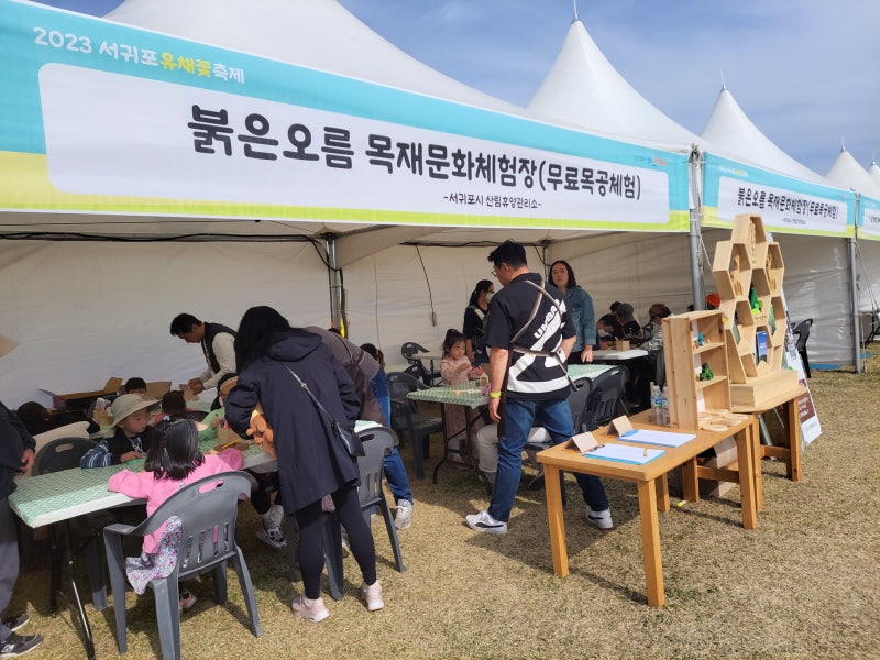서귀포 유채꽃 축제 2024 일정 체험 공연 프로그램 가시리 녹산로 벚꽃 유채꽃 명소 주차 정보 제주도 행사