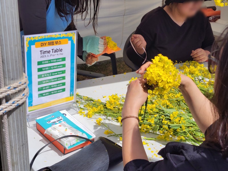 서귀포 유채꽃 축제 2024 일정 체험 공연 프로그램 가시리 녹산로 벚꽃 유채꽃 명소 주차 정보 제주도 행사