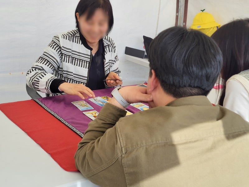 서귀포 유채꽃 축제 2024 일정 체험 공연 프로그램 가시리 녹산로 벚꽃 유채꽃 명소 주차 정보 제주도 행사
