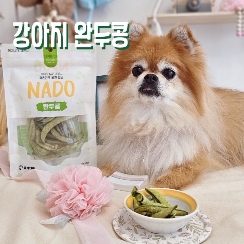 강아지 완두콩 저온 말린 야채 비숑 간식 변비 비켜 나도 Nado 네이버 블로그