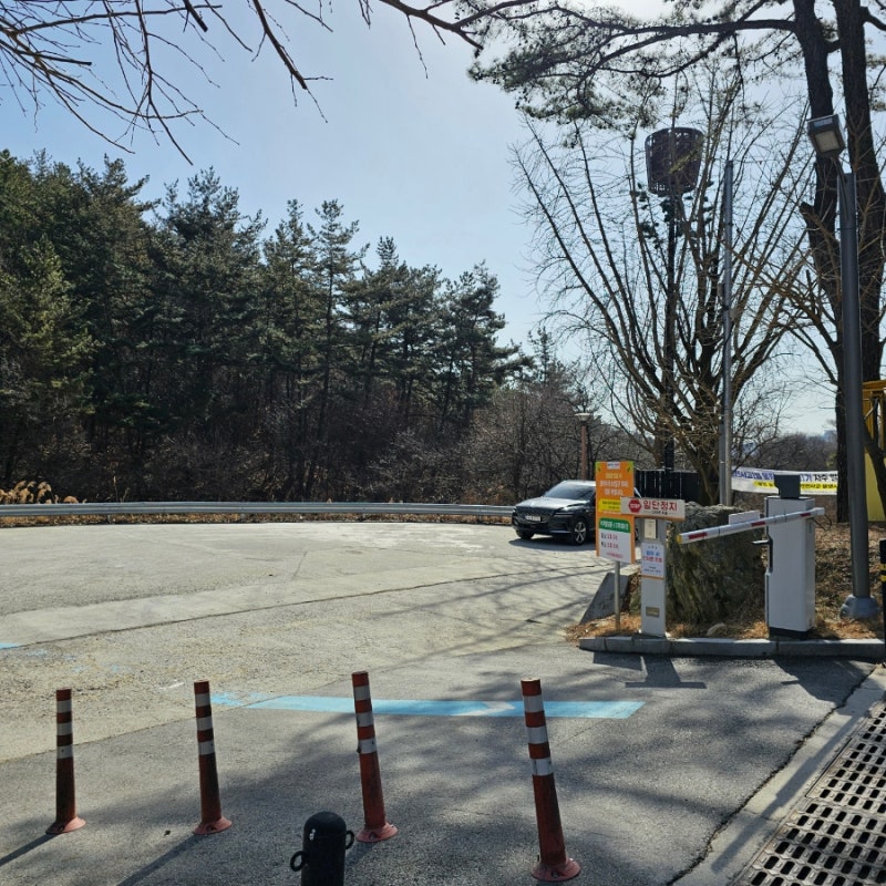 세종시 전월산국민여가캠핑장 사이트 소개 및 캠핑음식추천치킨 통삽겸살 떡꼬치 네이버 블로그