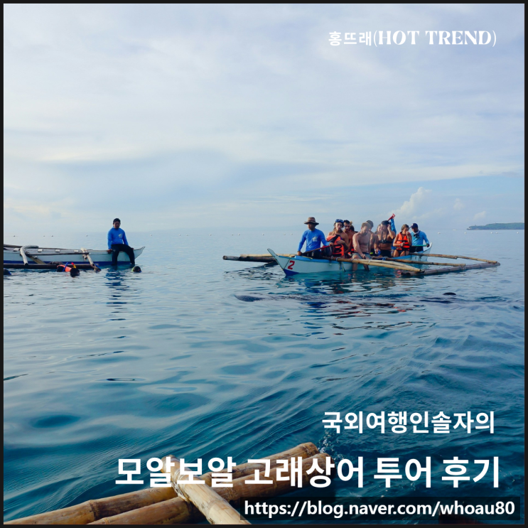 필리핀 세부 고래상어투어 치안 비행시간 제주항공 발권까지