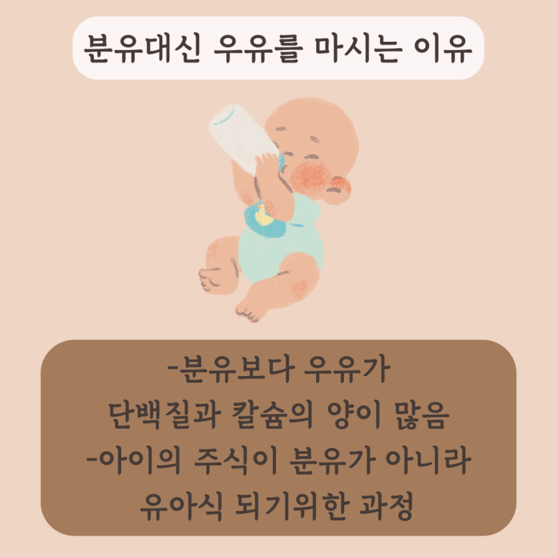 멸균우유 생우유 차이 보관 유통긴한 킨더밀쉬 영양분 정보 네이버 블로그