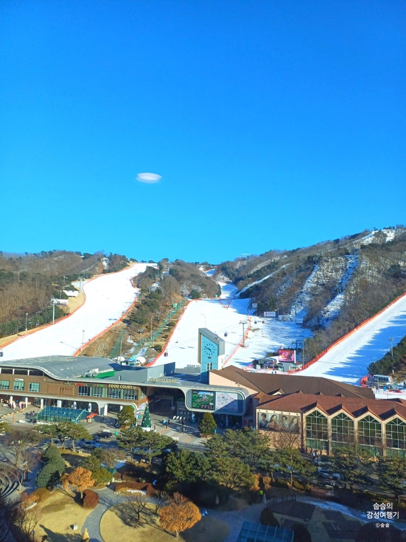 비발디파크 소노벨 스위트 호텔 스노위랜드 지하 비바플렉스몰 숙소 내돈내산 네이버 블로그