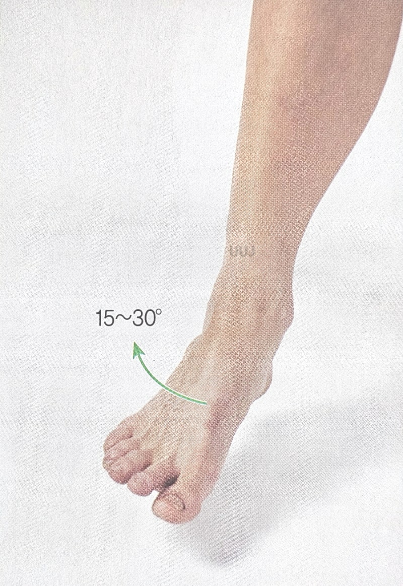 발목발가락관절운동 움직임용어 관절가동범위 Foot Ankle Interphalangeal Joint Movement 신용어