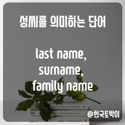 surname, fore/first/family/last name 뜻 : 네이버 블로그