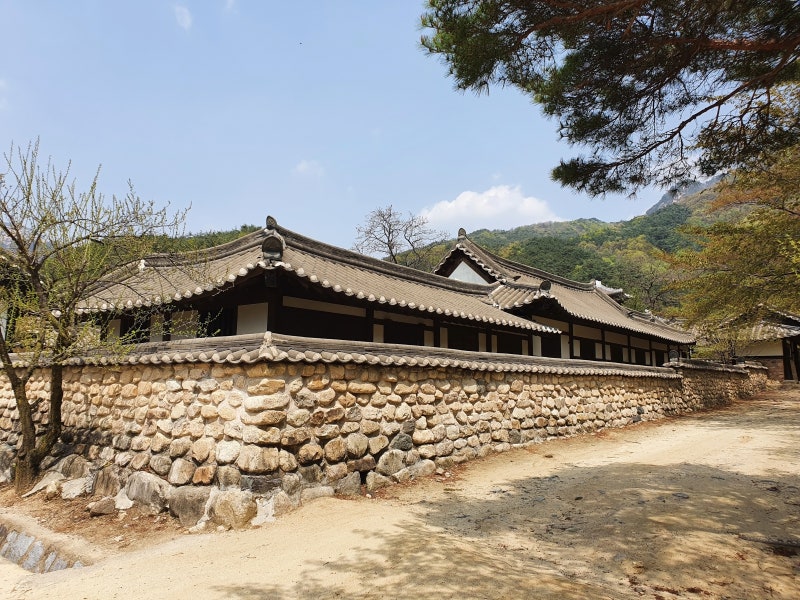 종친회종중 설립고유번호증 발급 절차 방법 사례 부동산 등기용 등록번호 발급 절차 방법 사례 네이버 블로그