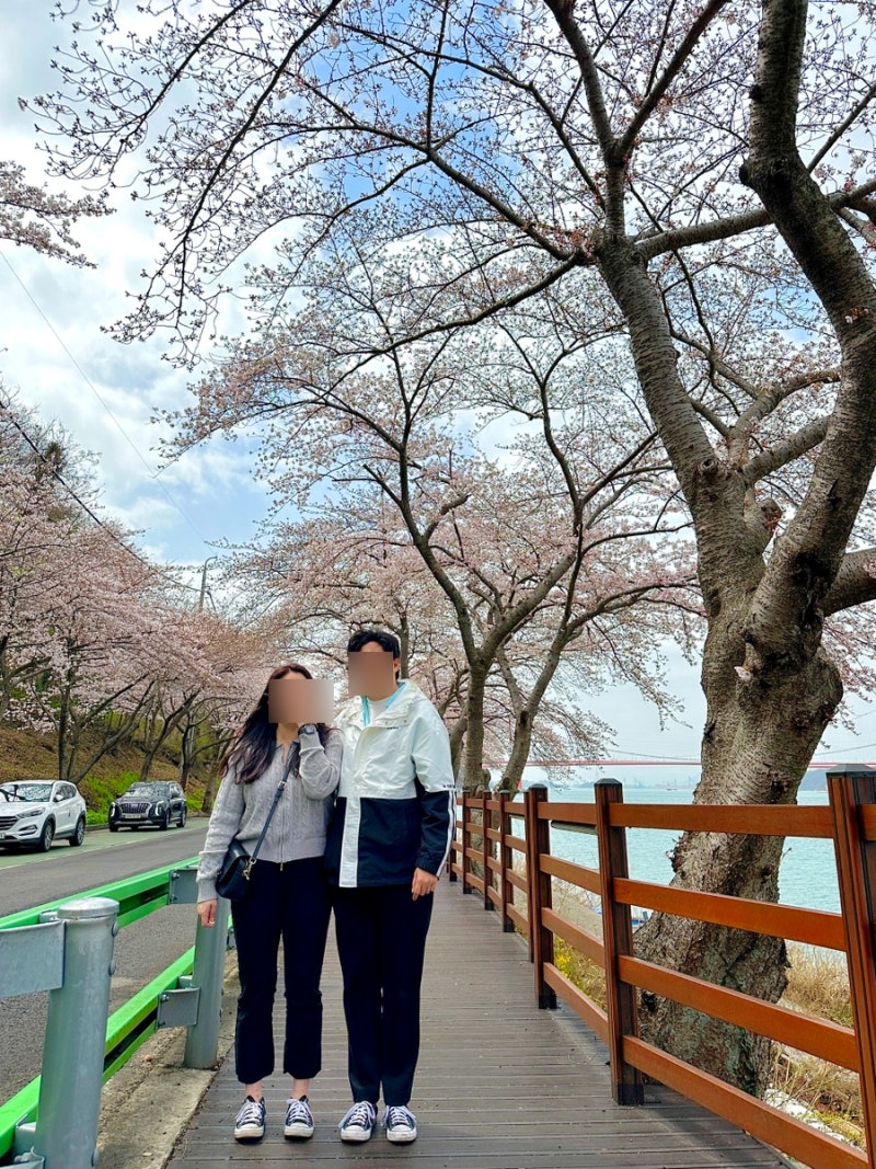 남해 벚꽃 명소 남해 벚꽃여행 추천 왕지벚꽃길 네이버 블로그
