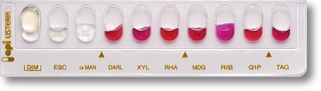 미생물 동정 API Kit 한글 사용 매뉴얼 : 네이버 블로그