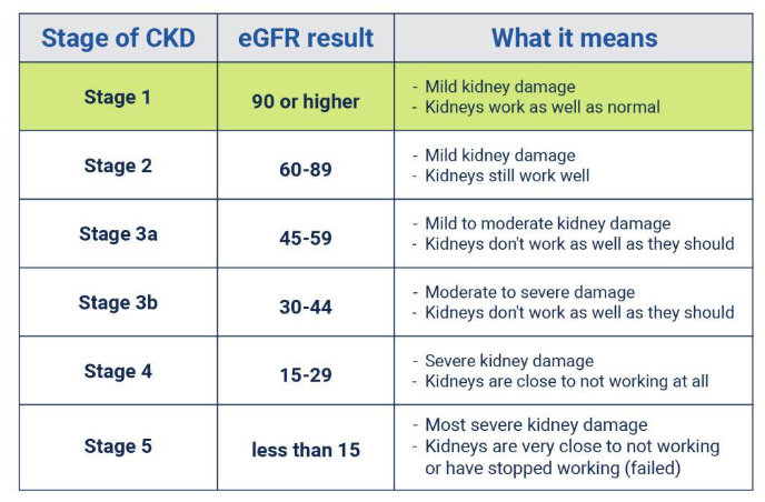 ESRD CKD 의학용어, eGFR 사구체여과율 검사 수치와 신부전 관계 : 네이버 블로그