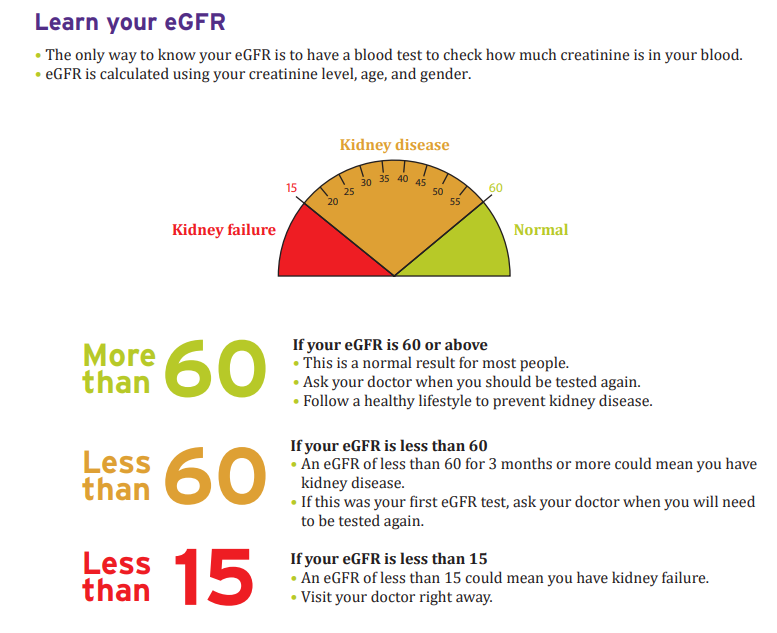 ESRD CKD 의학용어, eGFR 사구체여과율 검사 수치와 신부전 관계 : 네이버 블로그