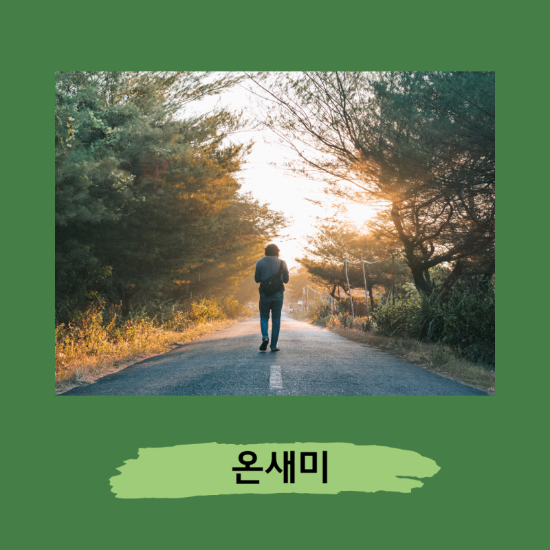 예쁜 순우리말 이름 및 단어 모음 네이버 블로그