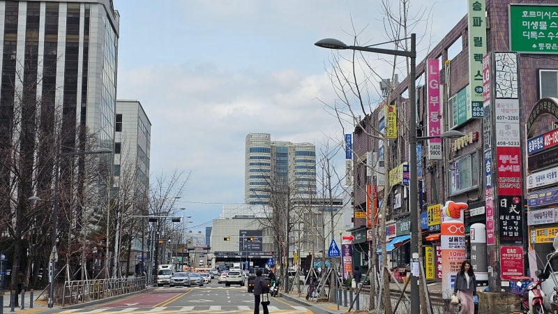 송파구 재건축 올림픽 3대장 중 하나인 올림픽 훼밀리아파트 재건축 확정 봄이 온 훼미리아파트 둘러보기 네이버 블로그