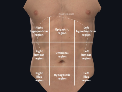 RUQ RLQ LUQ LLQ 의학용어, 복부 구획 위치별 소화기 질환 간호 : 네이버 블로그
