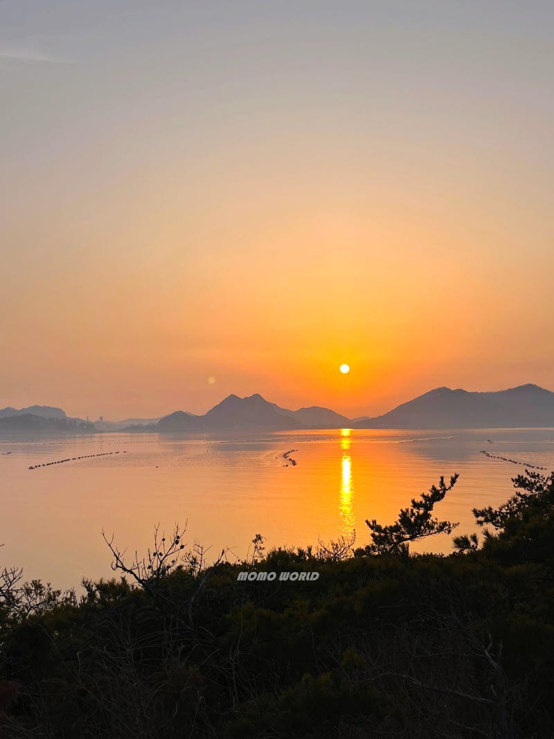 군산 신시도자연휴양림 숙소 장단점 코스 팁 네이버 블로그
