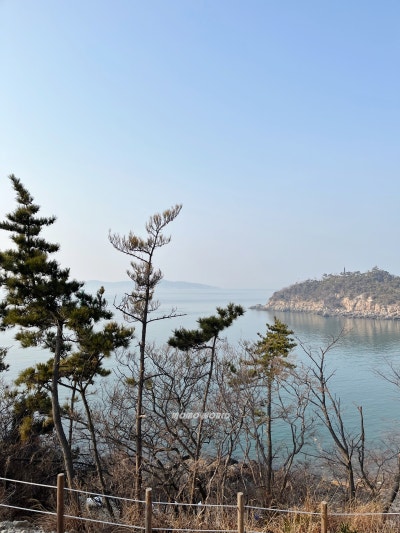 군산 신시도자연휴양림 숙소 장단점 코스 팁 네이버 블로그