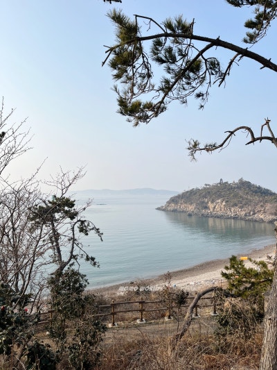 군산 신시도자연휴양림 숙소 장단점 코스 팁 네이버 블로그