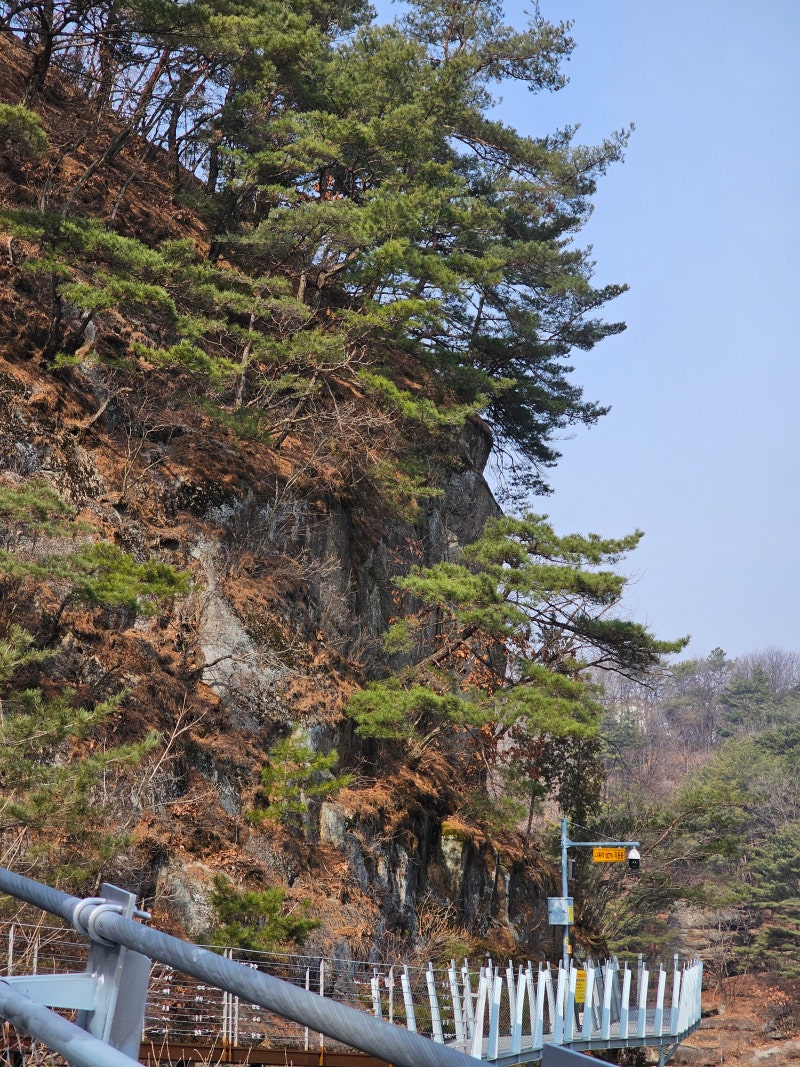 철원 주상절리길 시간 입장료 순담매표소 코스 추천 셔틀버스 시간표 네이버 블로그