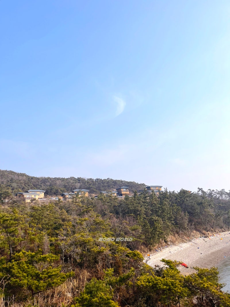 군산 신시도자연휴양림 숙소 장단점 코스 팁 네이버 블로그