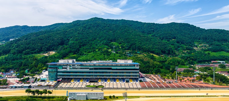 렛츠런파크 부산경남으로 주말 나들이 오세요 네이버 블로그