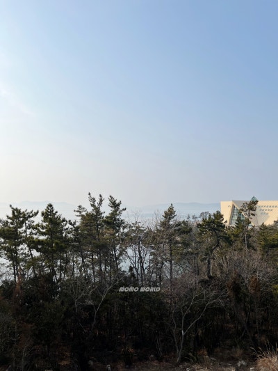 군산 신시도자연휴양림 숙소 장단점 코스 팁 네이버 블로그