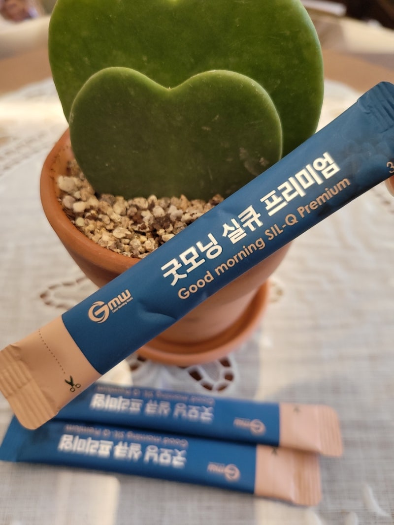 굿모닝실큐프리미엄 실큐아미노산 굿모닝실큐아미노산 네이버 블로그