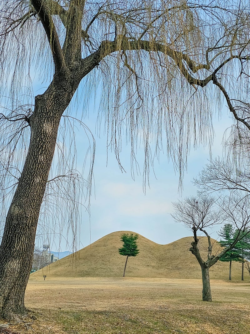 경주 대릉원 무료 주차장 입장료 포토존 황리단길 데이트 가볼만한곳 네이버 블로그
