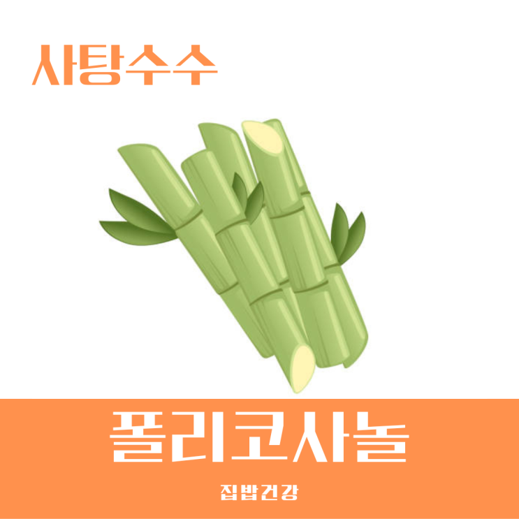 폴리코사놀 성분 효능 및 부작용 콜레스테롤 낮추는 방법으로 효과가 있을까